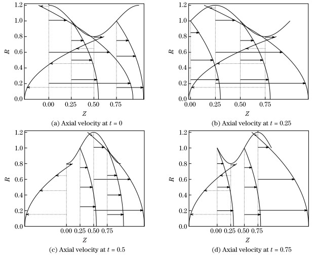 Rheological fluid motion in tube by metachronal waves of cilia