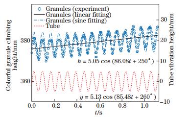 A new physical model on the capillary phenomenon of granular particles