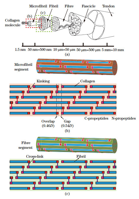 Abstraction and operator characterization of fractal ladder ...
