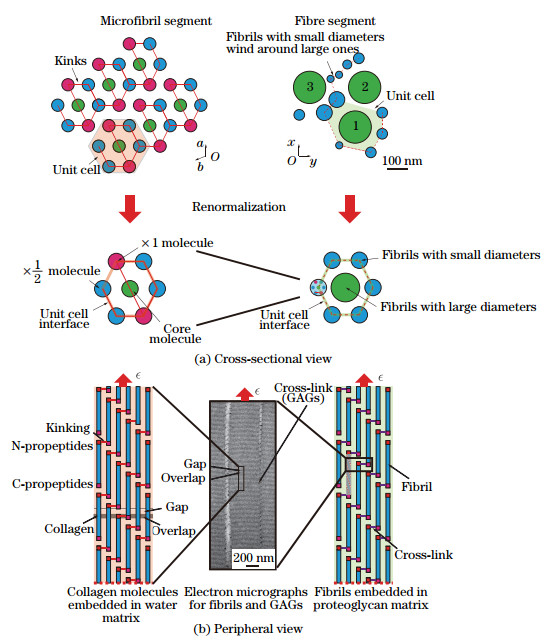 Abstraction and operator characterization of fractal ladder ...