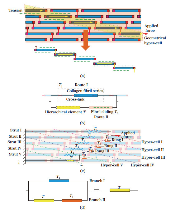 Abstraction and operator characterization of fractal ladder ...