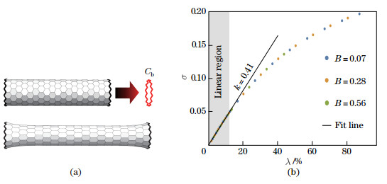 Morphology of cylindrical cell sheets with embedded contractile ring