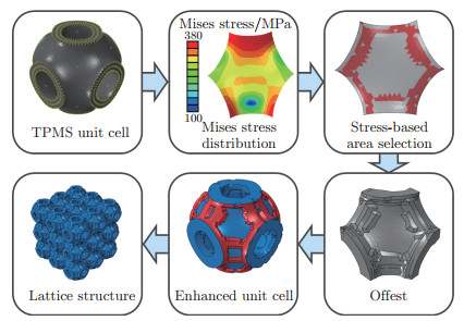 Adaptive enhancement design of triply periodic minimal surface lattice structure based on non ...
