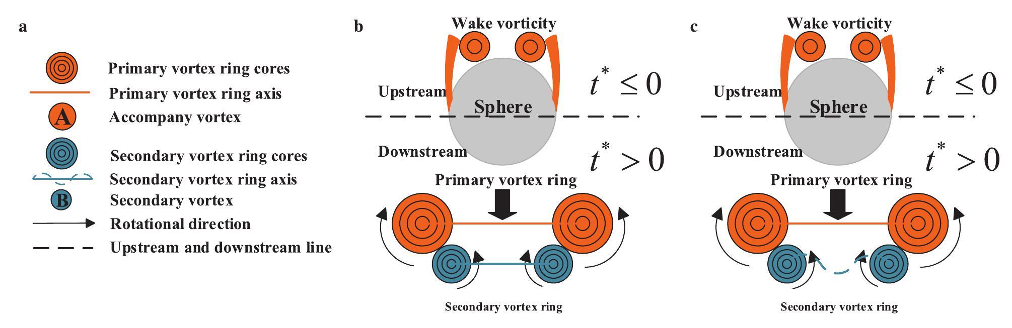 The evolution and instability of wake structure around an impulsively ...