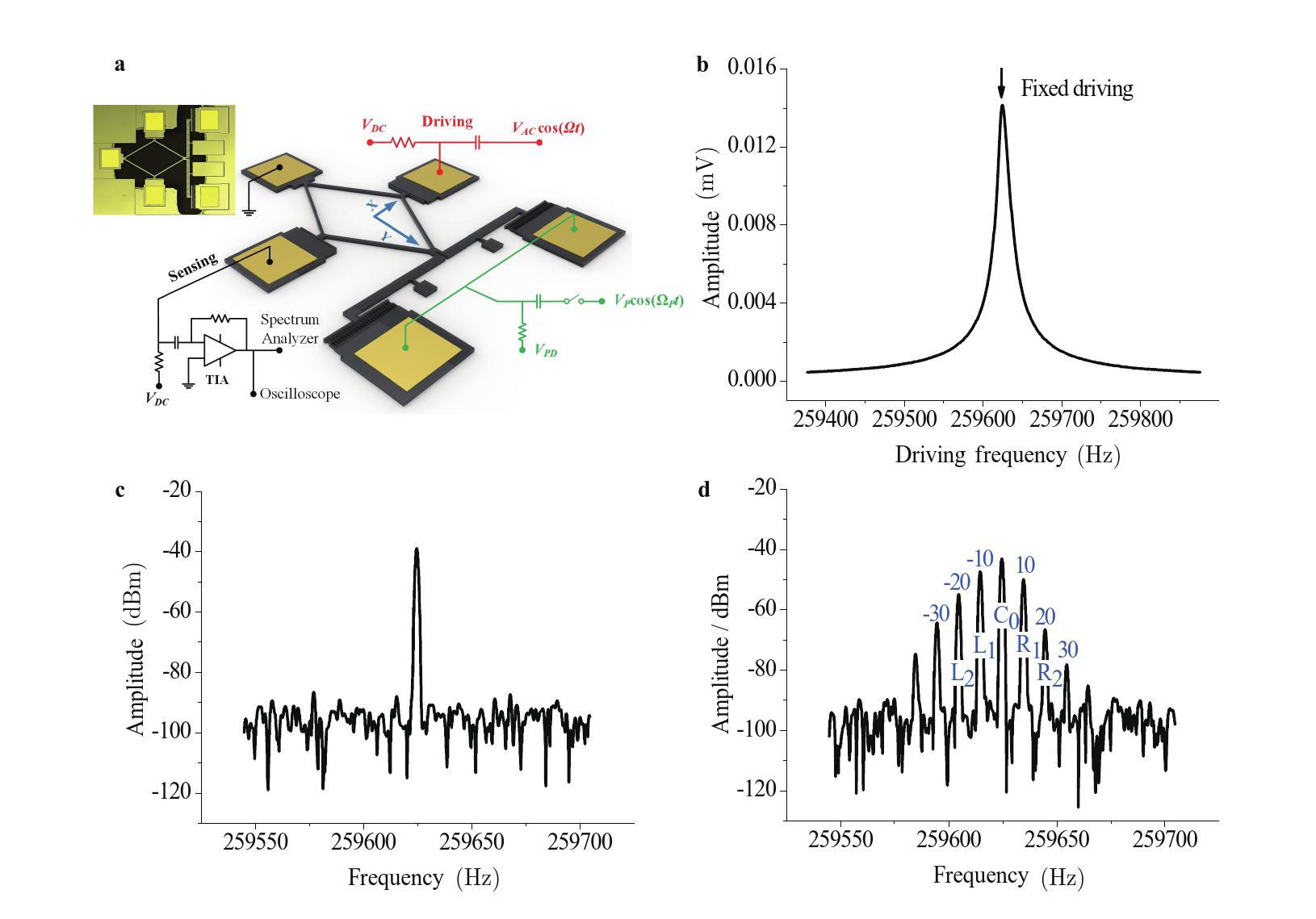 Frequency comb in a parametrically modulated micro-resonator