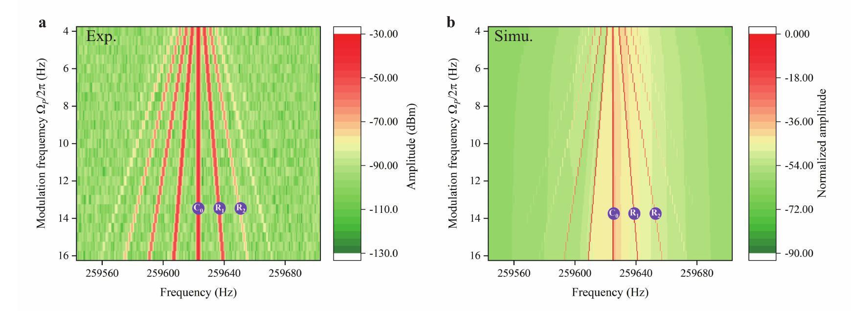 Frequency comb in a parametrically modulated micro-resonator
