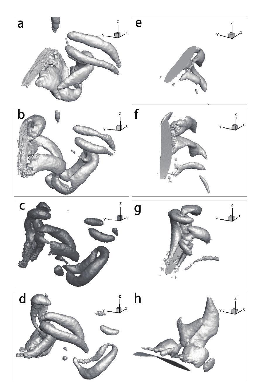 Aerodynamic performance of the flexibility of corrugated dragonfly ...