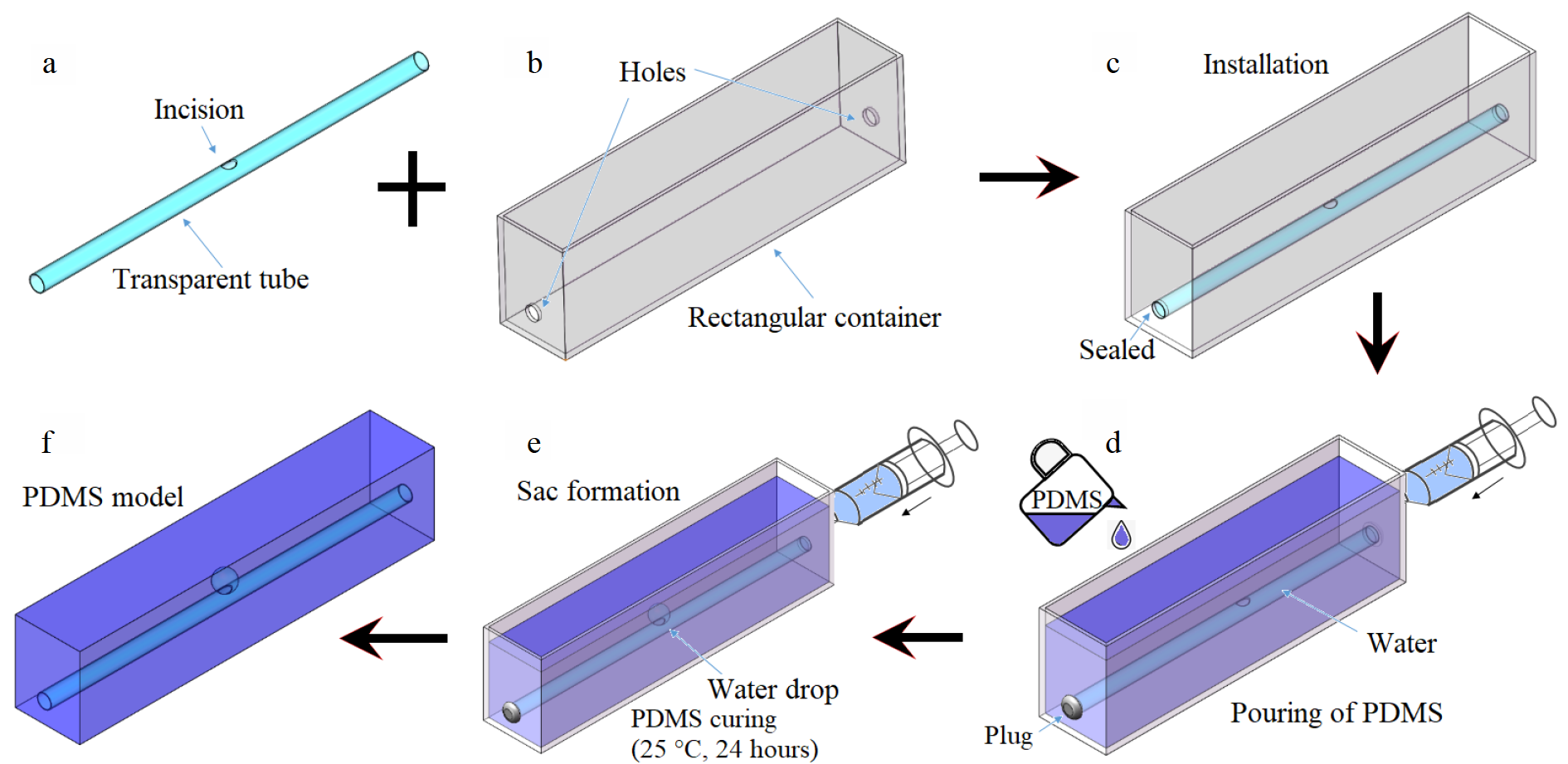 Experimental study on transient flow patterns in simplified saccular ...