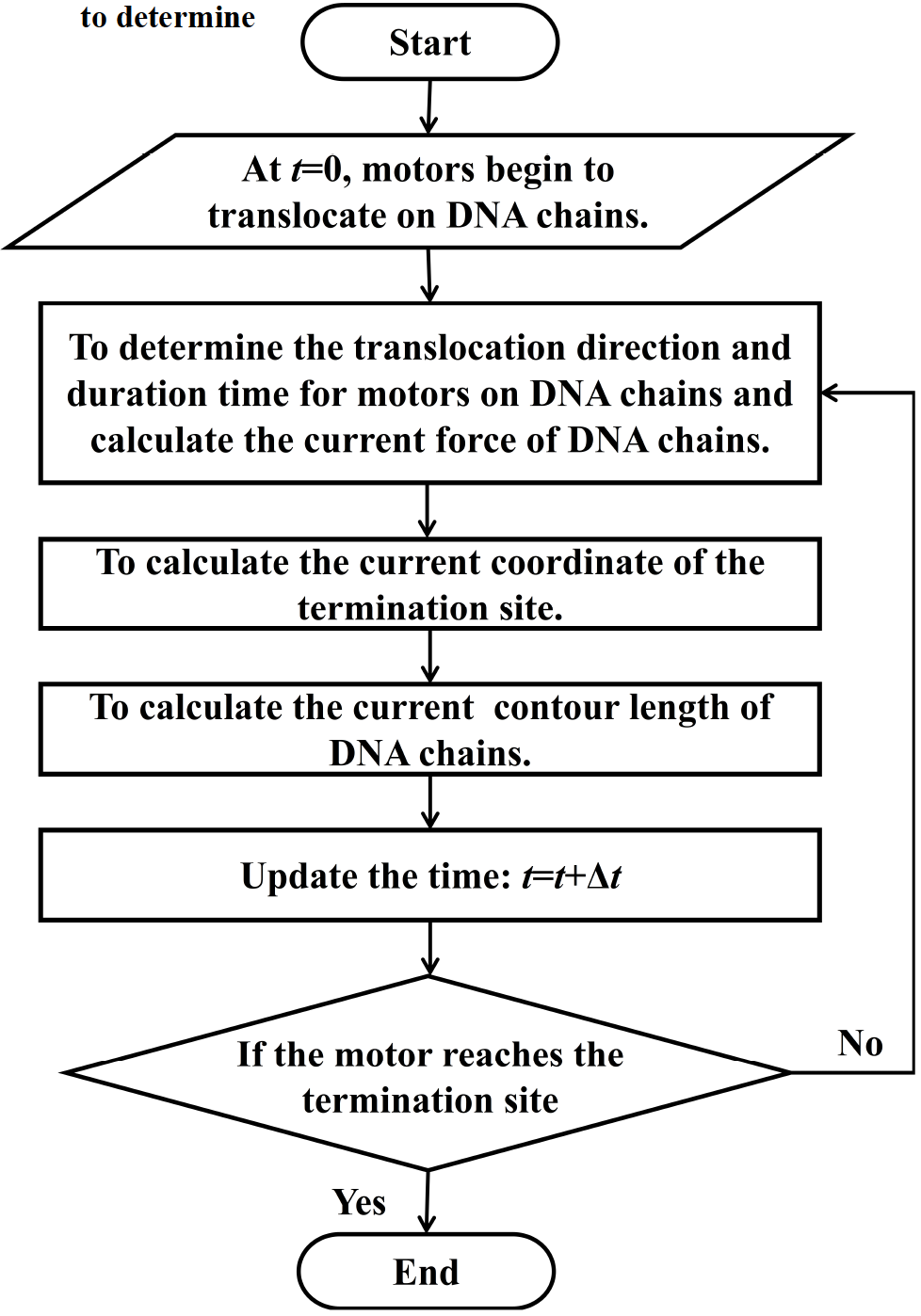 Coordinated motion of molecular motors on DNA chains with branch topology