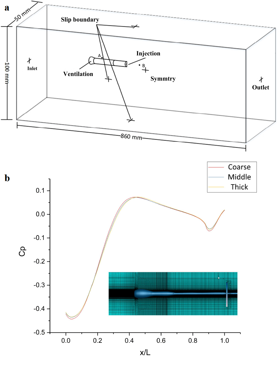 Transient dynamic analysis for the ventilated supercavity under the ...
