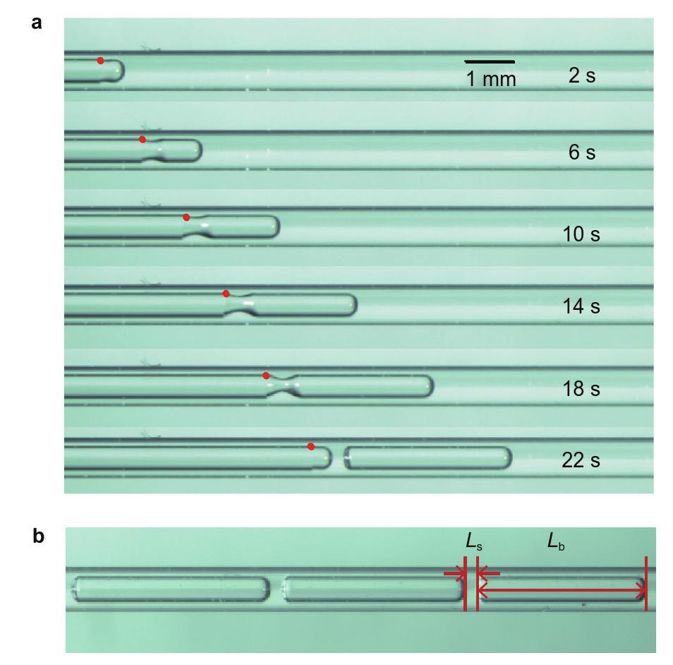 Experiment on gas-liquid displacement in a capillary