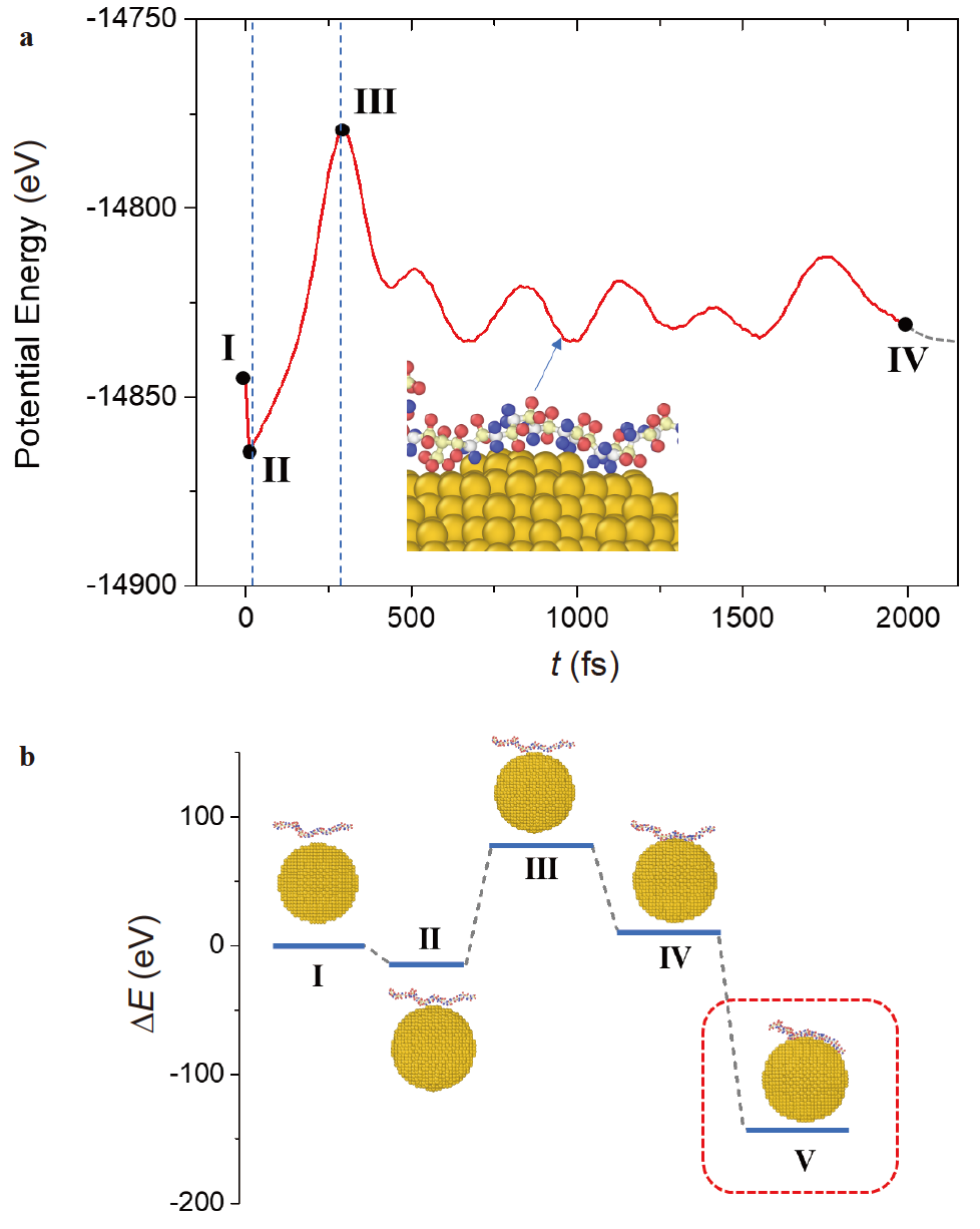 Enhanced electroactive β-phase formation in electrospun poly ...