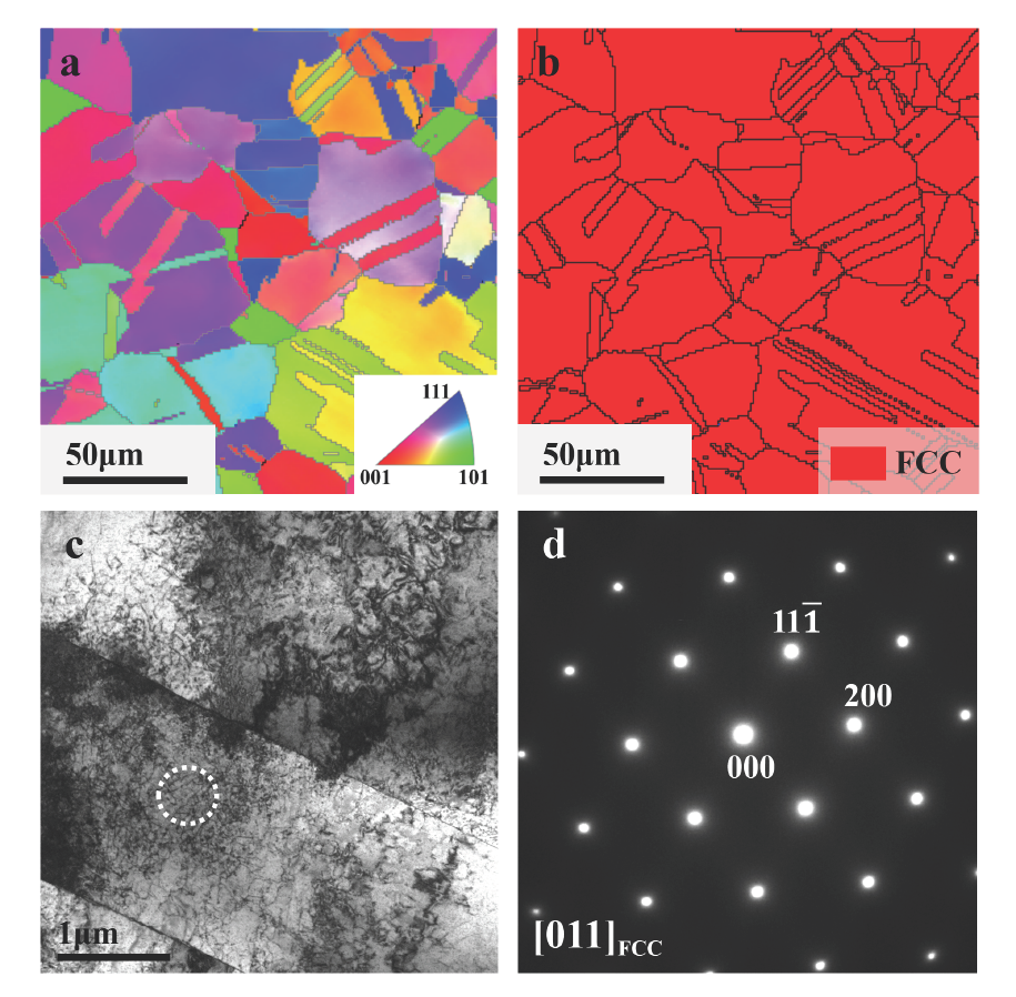 Dynamically compressive behaviors and plastic mechanisms of a CrCoNi ...