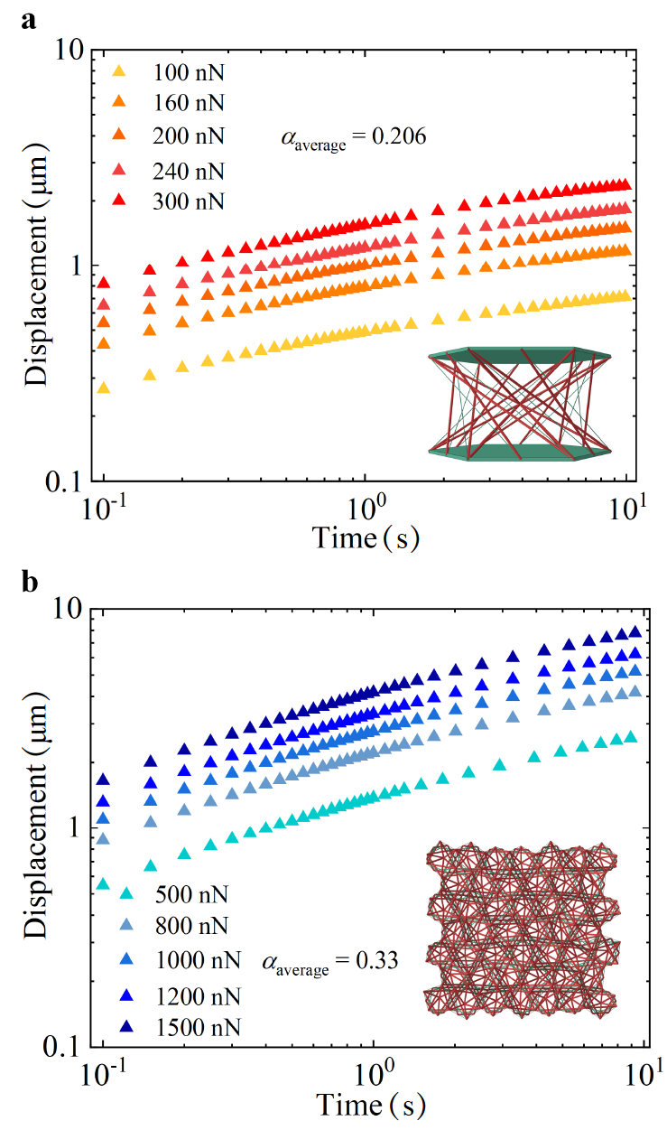 Static and dynamic mechanics of cell monolayers: A multi-scale ...