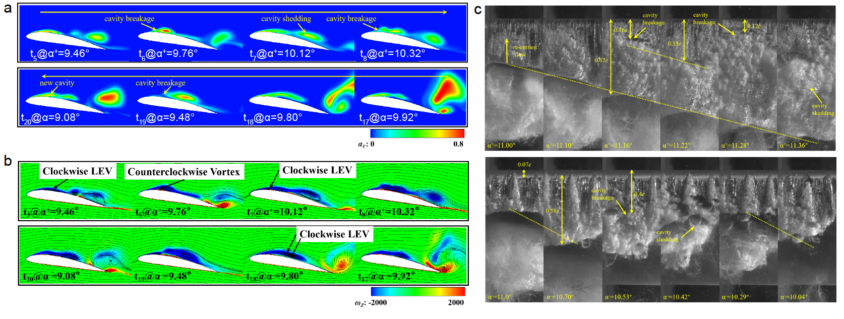 Investigation of hysteresis effect of cavitating flow over a pitching Clark-Y hydrofoil