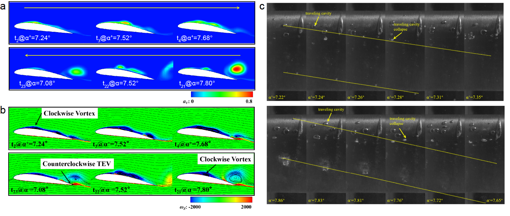 Investigation of hysteresis effect of cavitating flow over a pitching Clark-Y hydrofoil