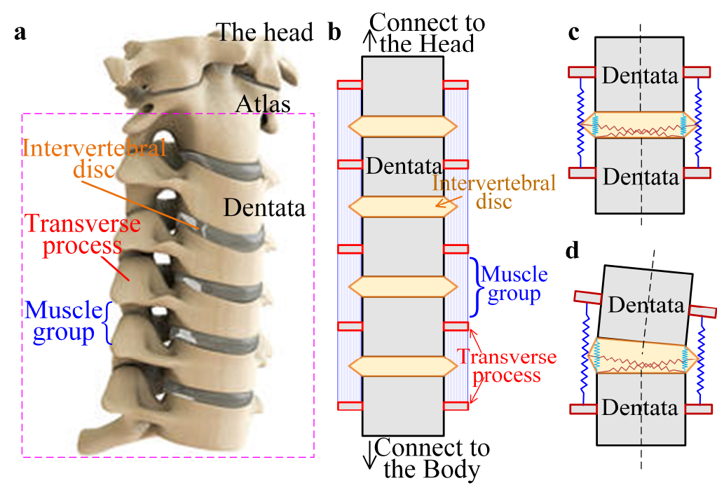 A novel multi-layer isolation structure for transverse stabilization ...
