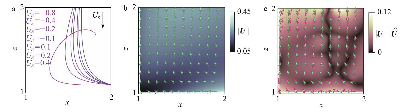 Reconstructing the neutrally-buoyant particle flow near a singular corner