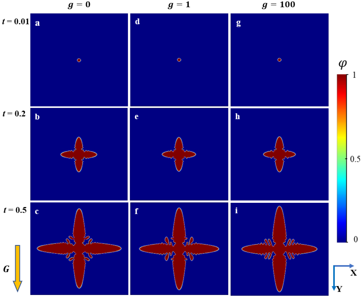 Phase field simulation of solidification under supergravity
