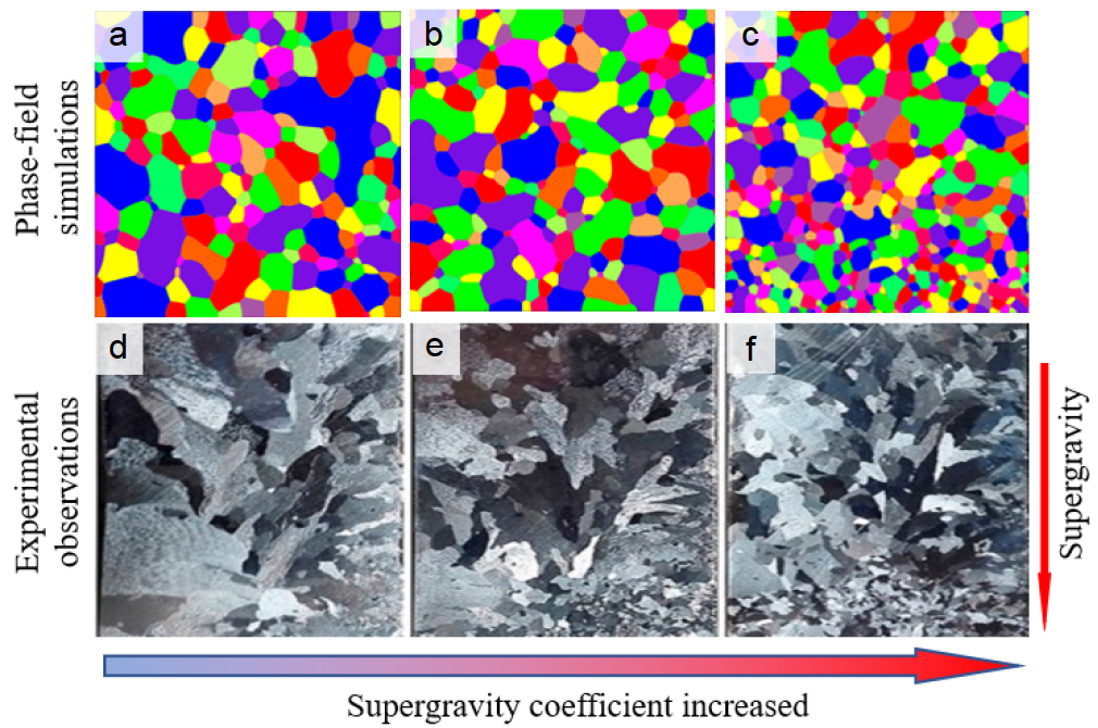 Phase field simulation of solidification under supergravity