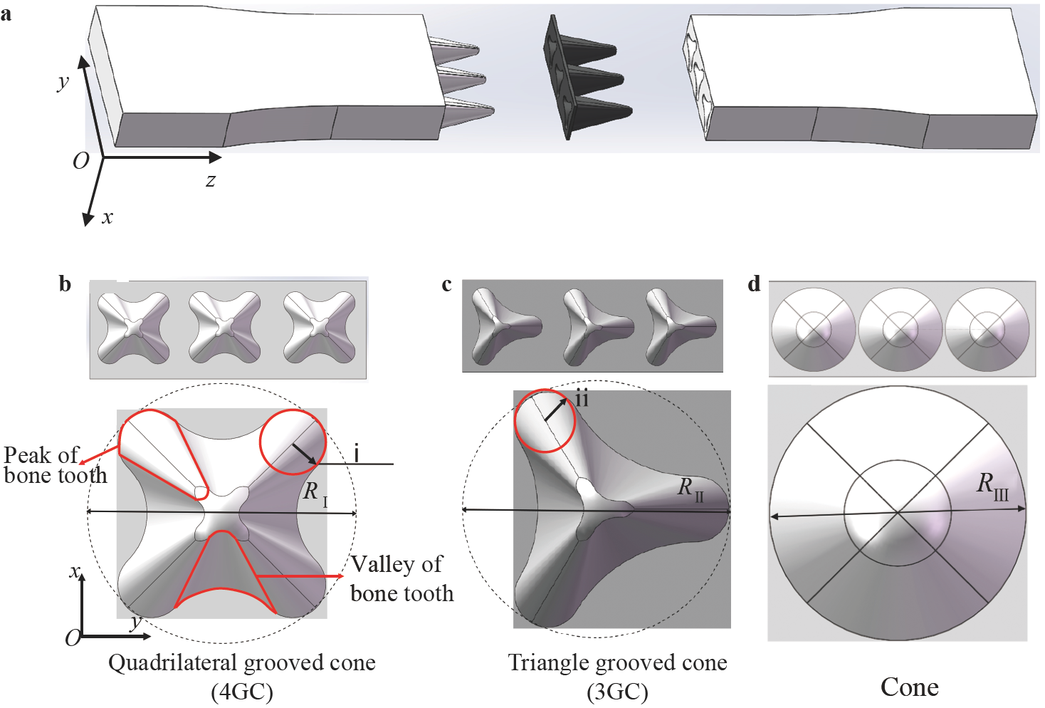 Influence of bone teeth on strength and toughness of sutured bone plate ...