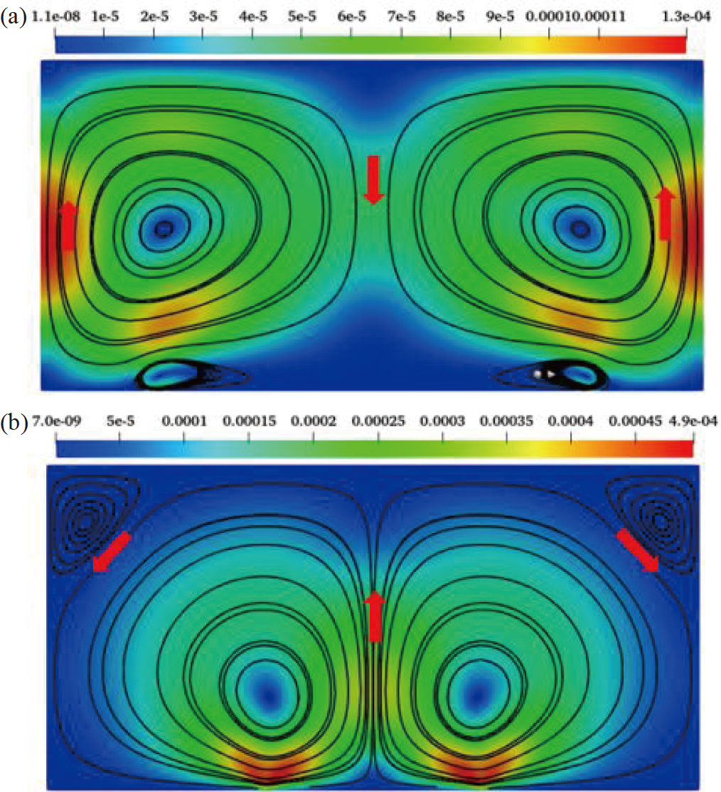 Numerical investigation of electrohydrodynamic conduction with a ...