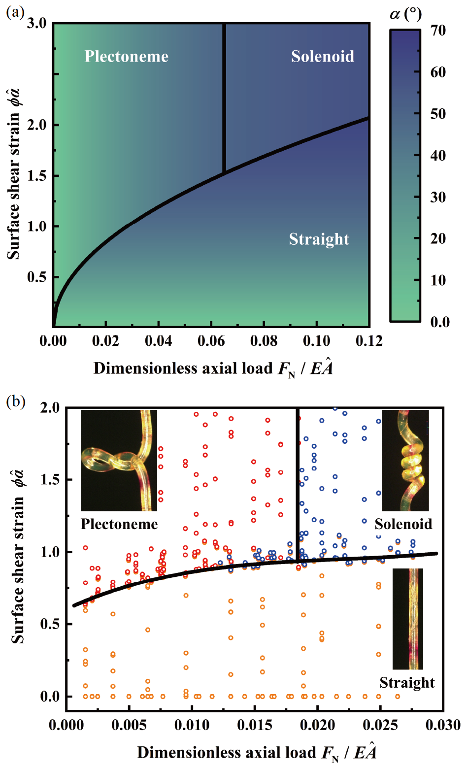 On the configuration evolution of soft filaments under combined tension ...