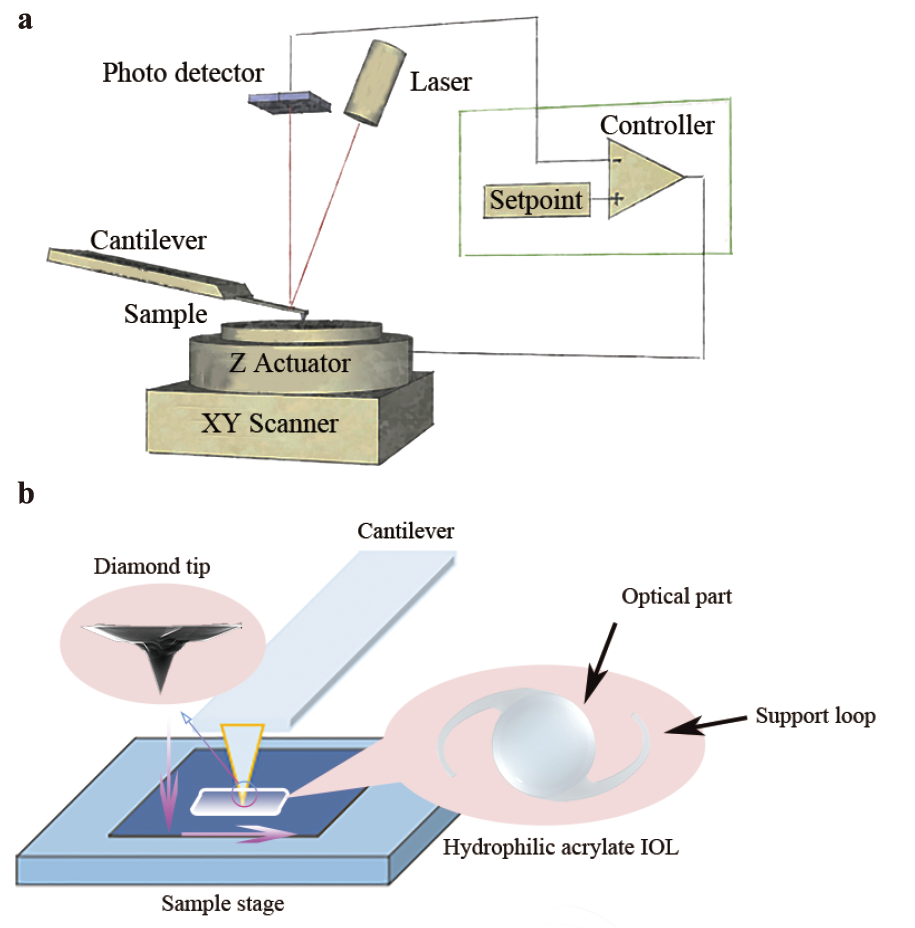 Nano-indentation and nano-scratch of flexible intraocular lens material ...