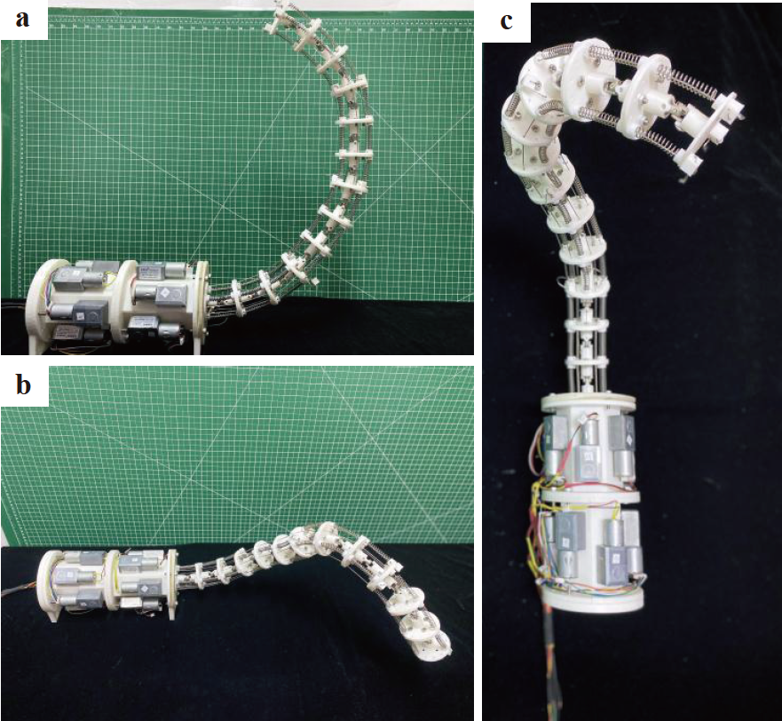 A class of bionic hyper-redundant robots mimicking the bird’s neck