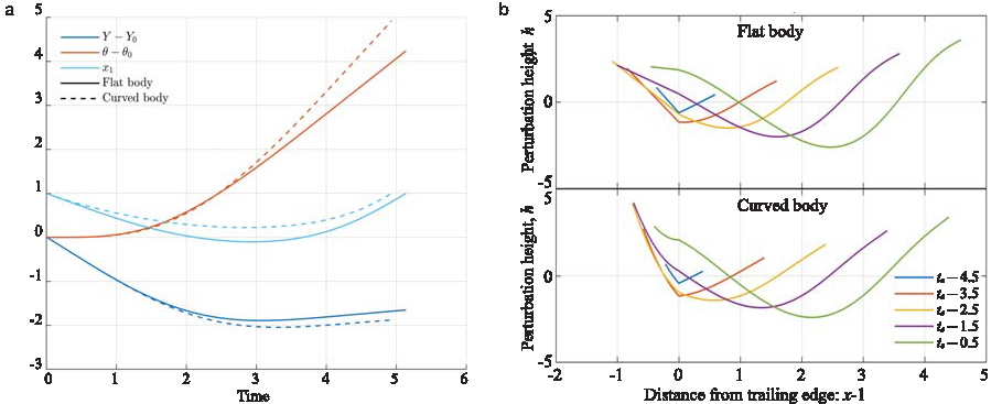 On modelling fluid/body interactions, impacts and lift-offs