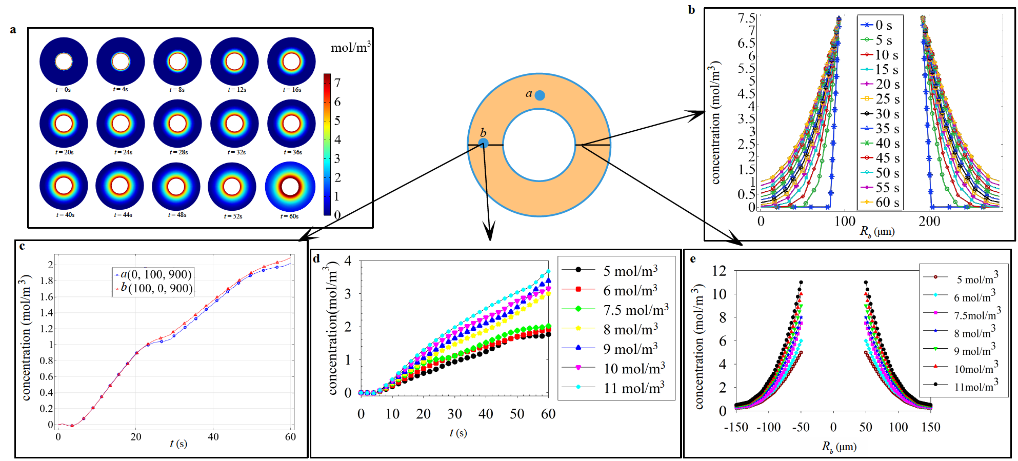 Effects of osteocyte orientation on loading-induced interstitial fluid ...