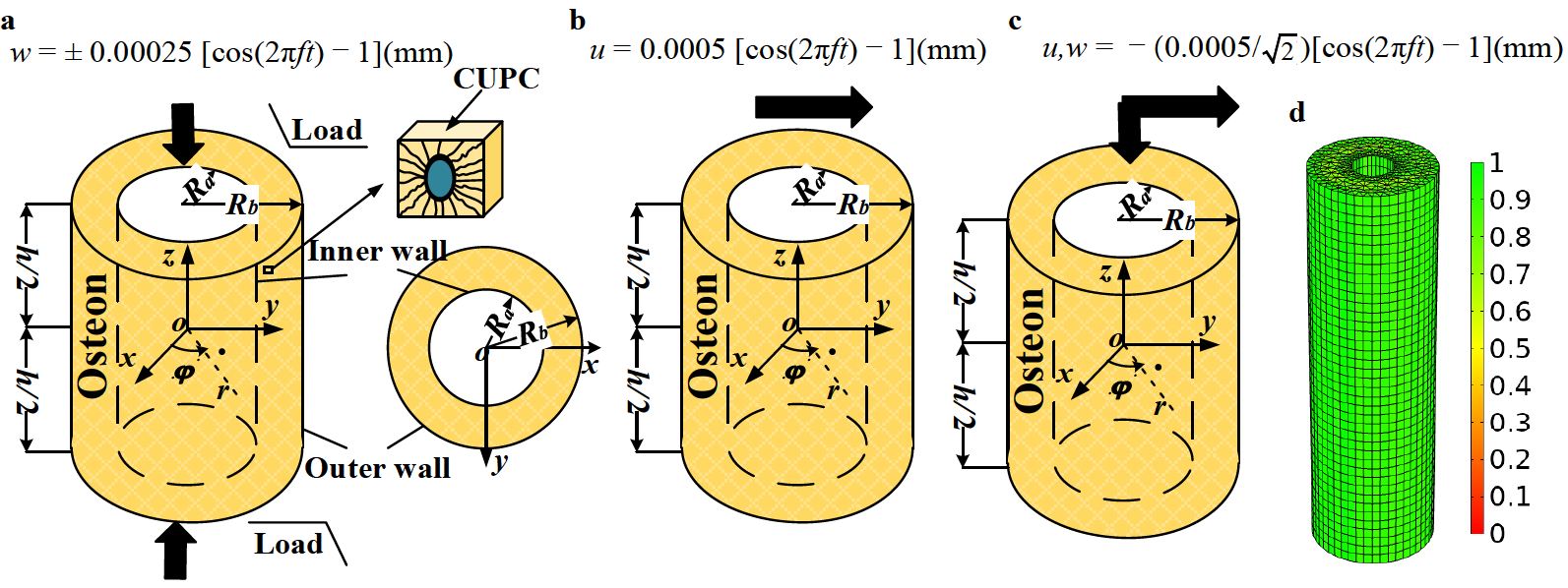 Effects of osteocyte orientation on loading-induced interstitial fluid ...