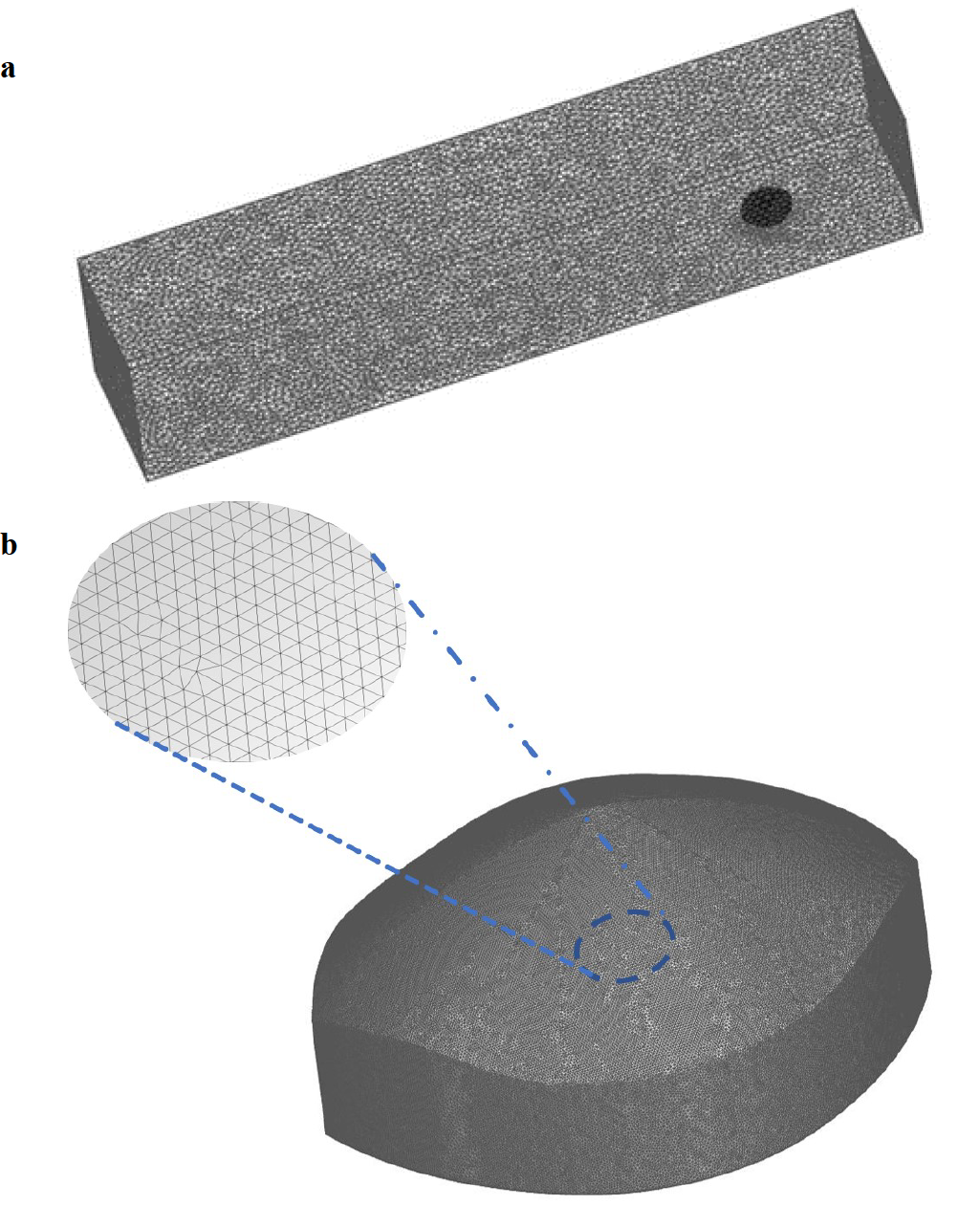 Arch-supported structures with different geometries in wind flow