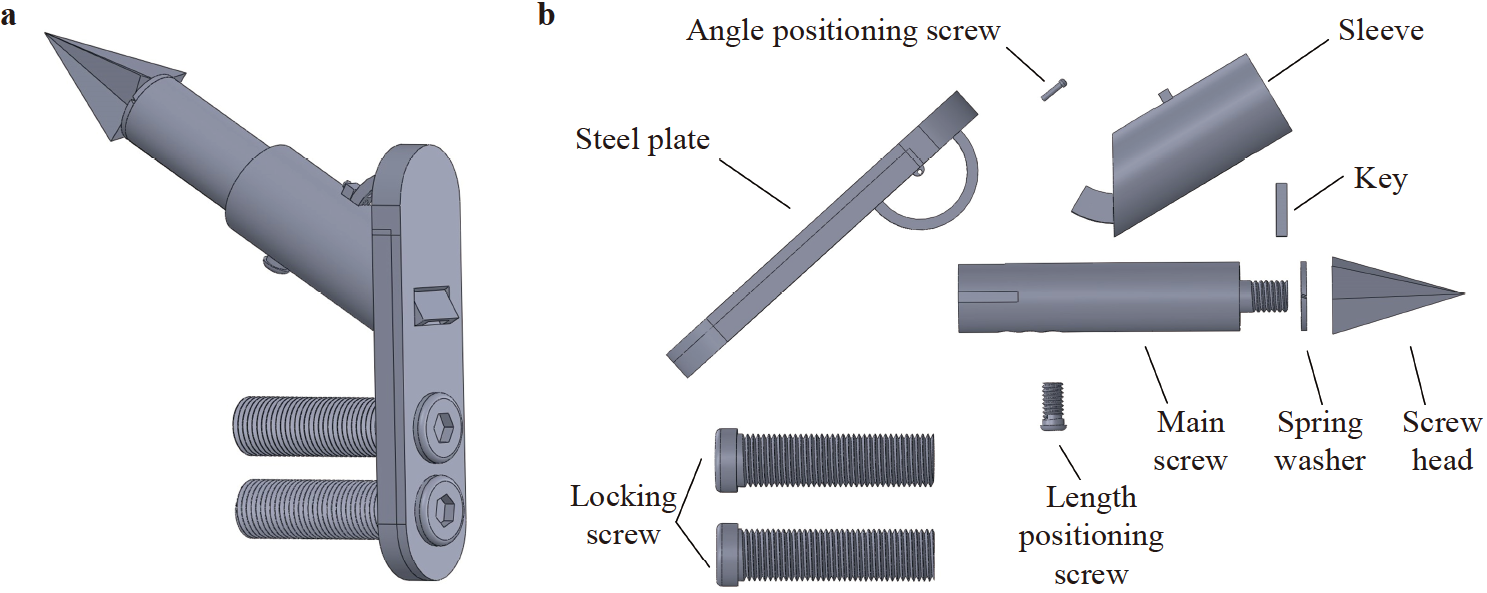 Internal fixation system with the pyramid screw head for the treatment ...