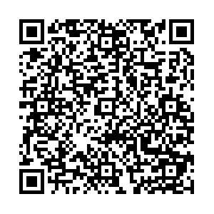 基于PAM-CRASH的鸟撞飞机风挡动响应分析