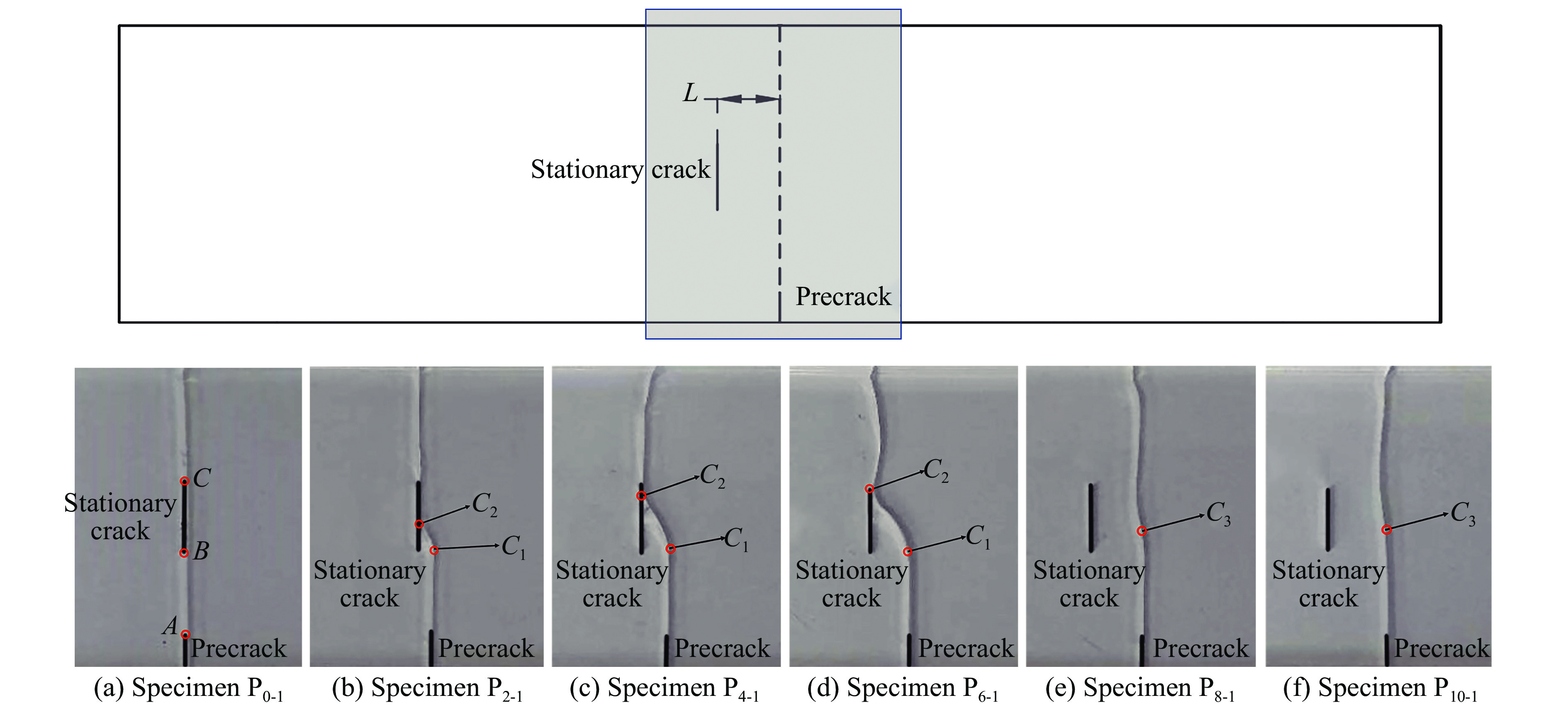 动、静裂纹作用偏置效应的动焦散冲击实验