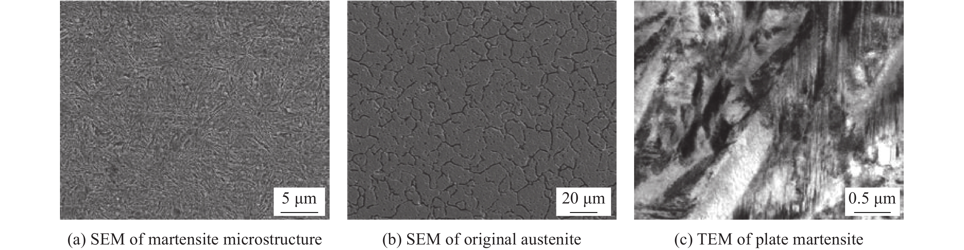 试样形状对轴承钢绝热剪切带微观组织的影响