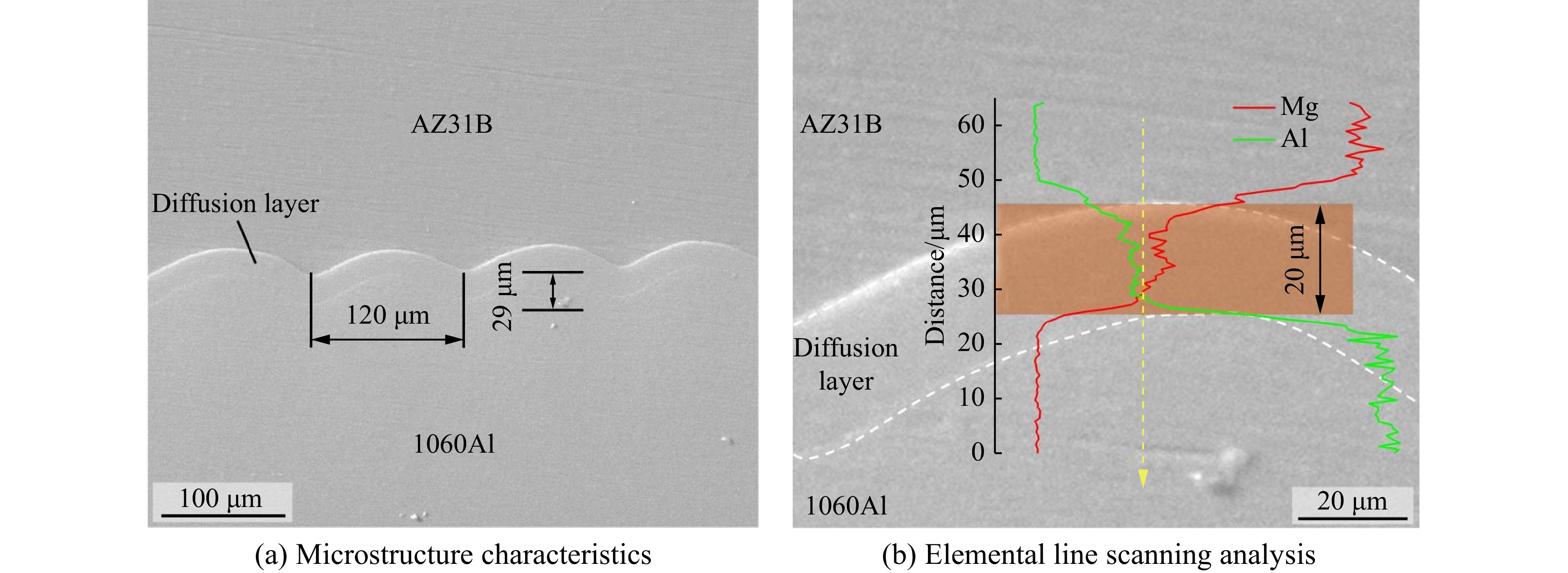 TA2/AZ31B/2024Al爆炸焊接复合板界面微观结构特征及其动态力学性能