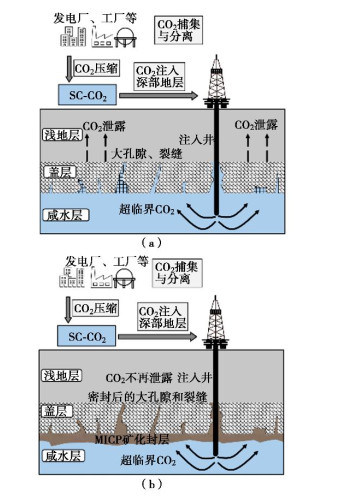 MICP技术用于地质碳封存的微观机理研究初探