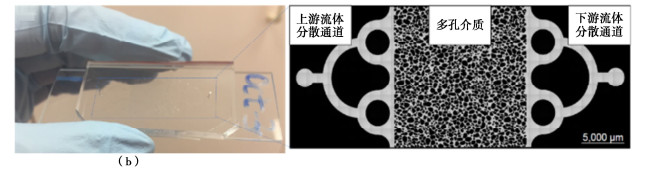 MICP技术用于地质碳封存的微观机理研究初探