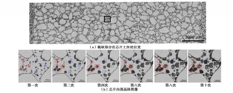 MICP技术用于地质碳封存的微观机理研究初探