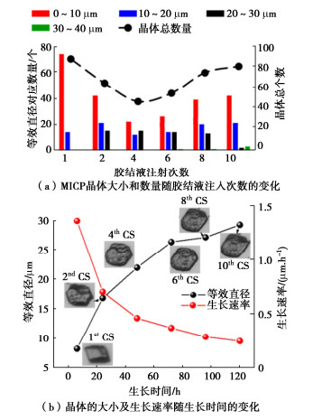 MICP技术用于地质碳封存的微观机理研究初探