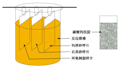 砂颗粒矿物成分对MICP过程的影响及机理