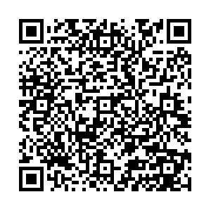 有限变形弹性动力学的非传统Gurtin型变分原理