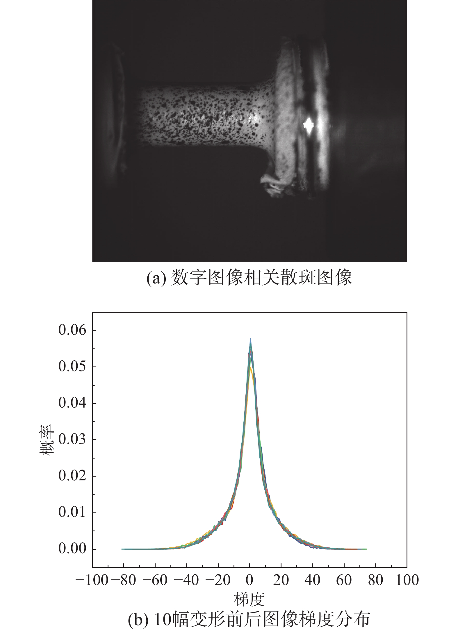 基于散斑图像梯度域的数字图像相关盲去模糊方法