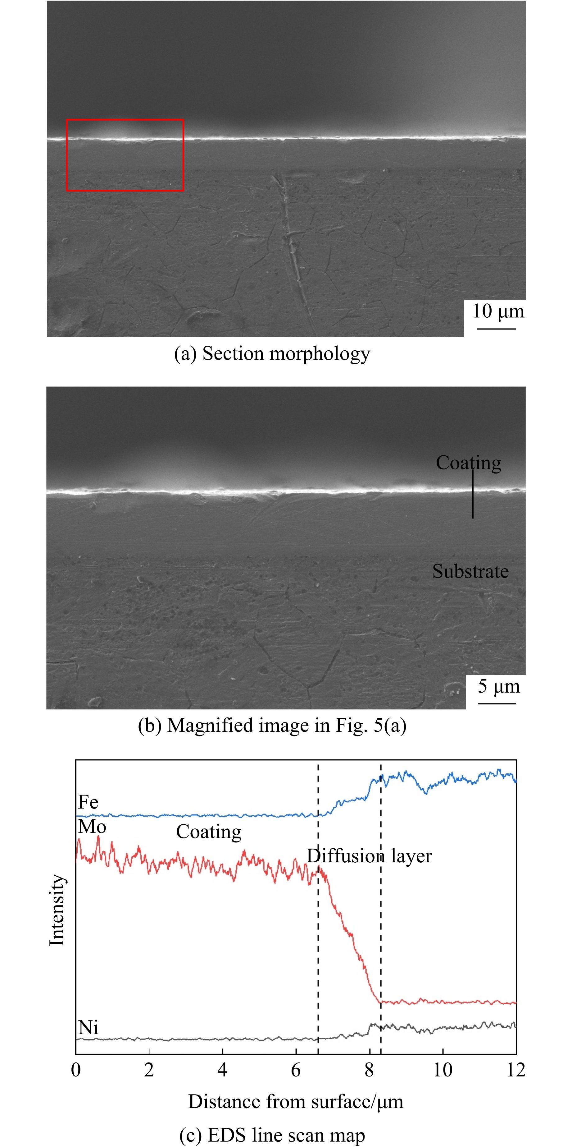Mo与CoCrFeNiMn高熵合金硬质涂层的制备、微结构及力学性能