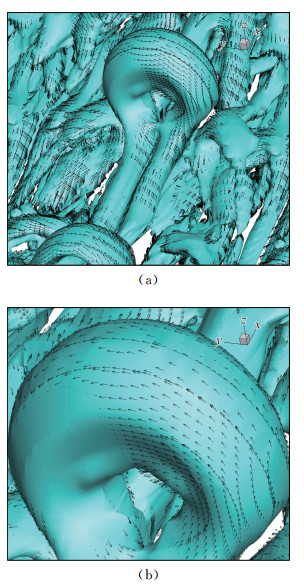 Liutex-涡定义和第三代涡识别方法