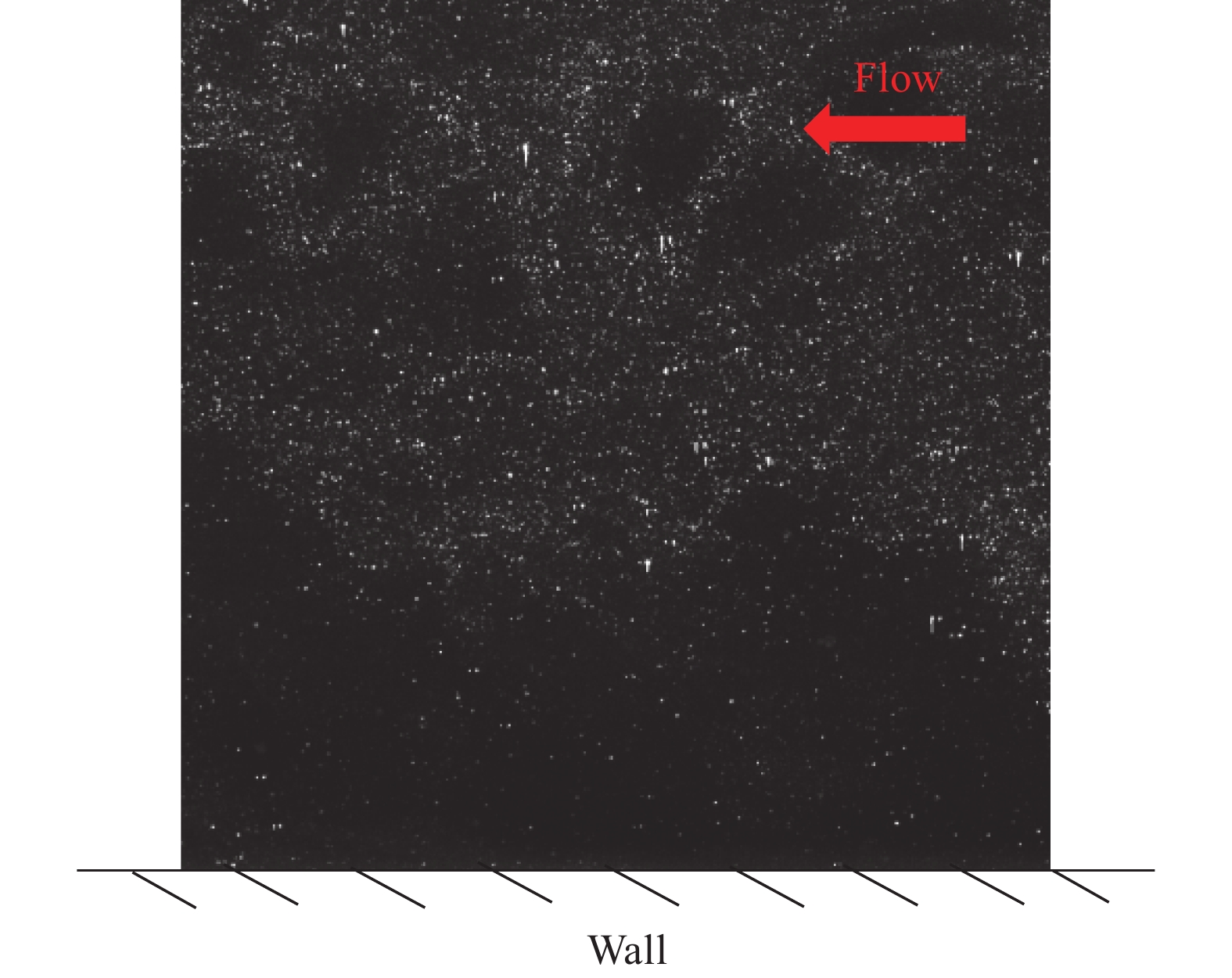 基于粒子图像分割的混合PIV-PTV算法