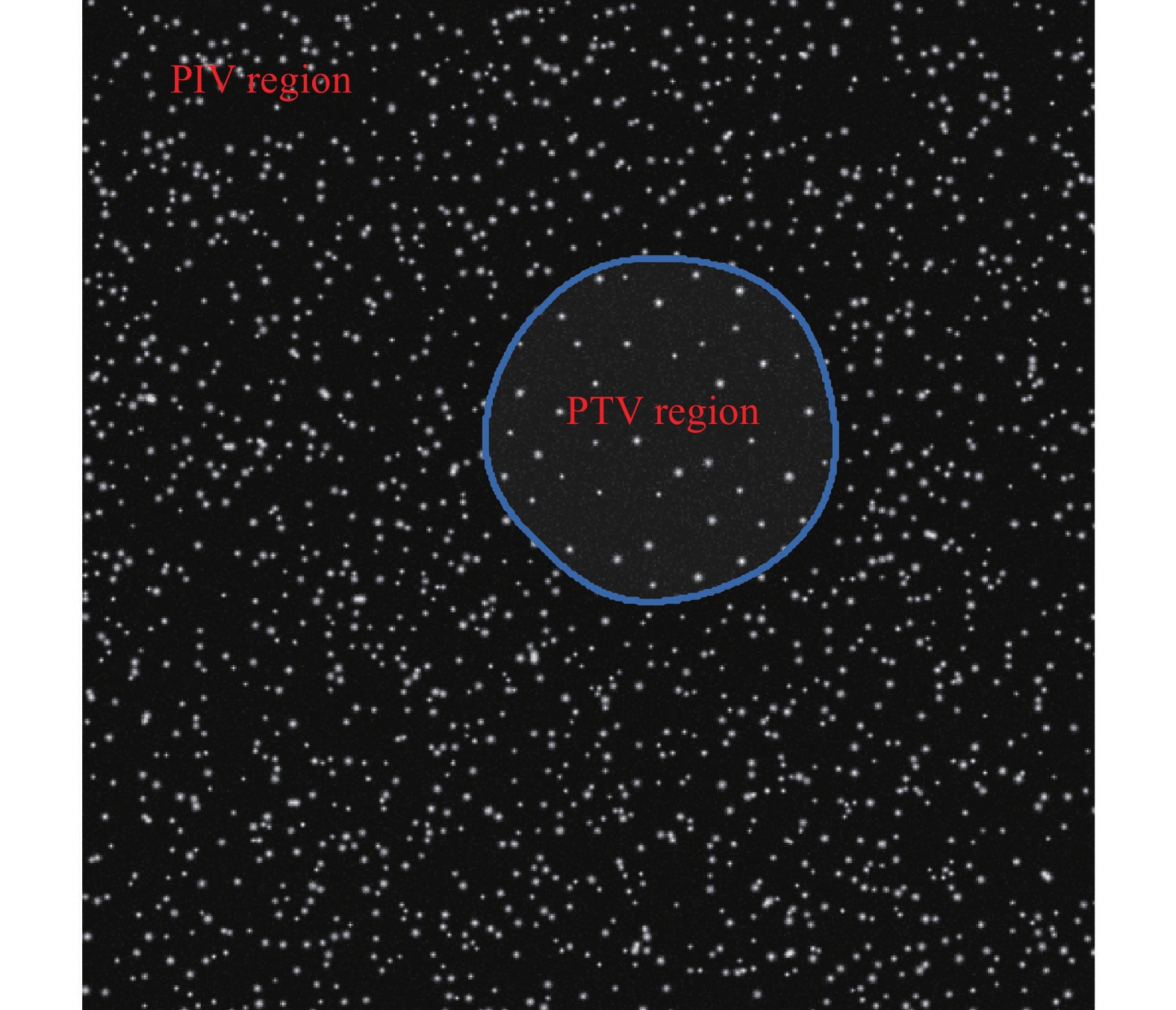 基于粒子图像分割的混合PIV-PTV算法