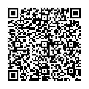 Developments of numerical methods for linear and nonlinear fluid-solid interaction dynamics with ...